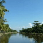 Muthurajawela Wetland: Birdwatching Expedition by Boat - Analyzing the Itinerary