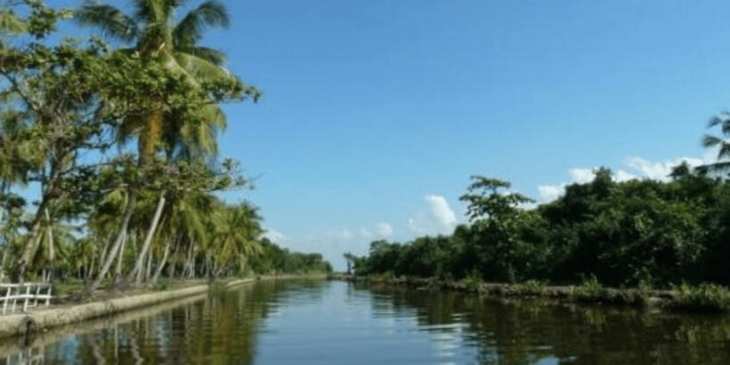 Muthurajawela Wetland: Birdwatching Expedition by Boat - Analyzing the Itinerary