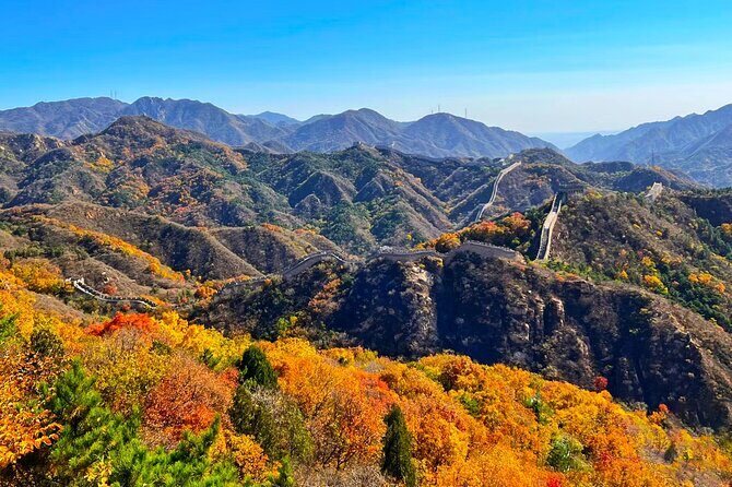 Mutianyu Great Wall and Forbidden City No Shopping one day tour - Potential Drawbacks