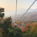 Mutianyu Great Wall and Summer Palace Layover Tour from Beijing Capital Airport - Who Is This Tour Best For?