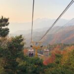 Mutianyu Great Wall Layover Tour from Tianjin Port including Lunch - Who Should Consider This Tour?