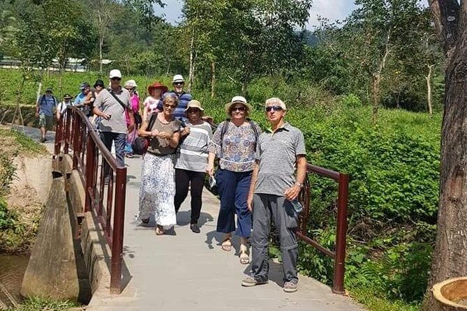 My Son Afternoon Sunset Private Guided Tour - A Balanced View: The Value of This Tour