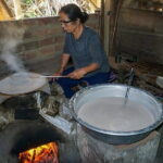 My Son Sanctuary Morning Tour from Da Nang - Exploring My Son Sanctuary