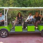 MY SON SANCTUARY MORNING TOUR to Experience Cham Kingdom, Cham Culture & History - Why This Tour Offers Good Value