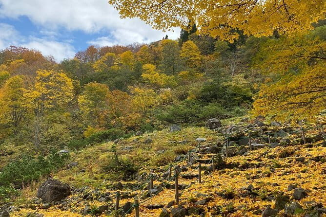 Myoko and Madarao Day Tour Snow Monkeys, Zenkoji and Sake - FAQ