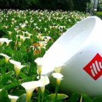 N114 Palace Museum Yangmingshan National Park Tamsui Old Street Taipei Day Tour (10h) - Final Thoughts