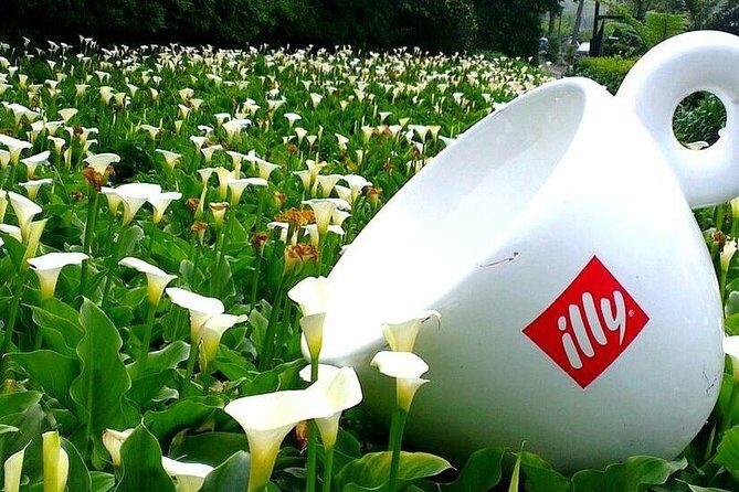 N114 Palace Museum Yangmingshan National Park Tamsui Old Street Taipei Day Tour (10h) - Final Thoughts