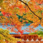 Naejangsan Fall Foliage Tour from Busan with Seoul Drop-off - Real Traveler Insights