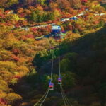 Naejangsan: Highlight of a Korean Autumn Day Trip from Busan - The Journey and Transport