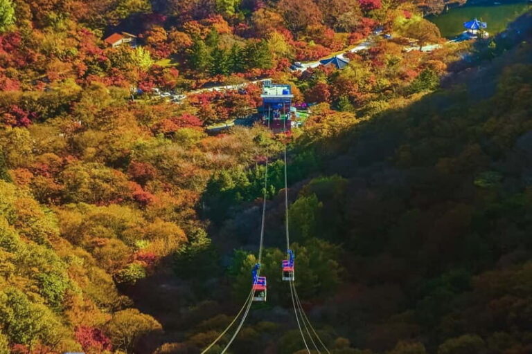 Naejangsan: Highlight of a Korean Autumn Day Trip from Busan - The Journey and Transport