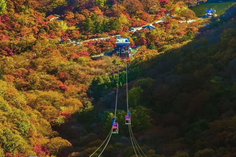 Naejangsan: Highlight of a Korean Autumn Day Trip from Busan - The Journey and Transport
