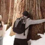 Nagano: Togakushi Shrine, Sake & Zenkoji Private Tour - What You Can Expect on This Day