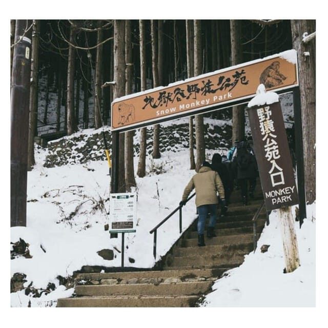 Nagano/Tokyo: Snow Monkey Private Day Tour At Lowest Rate - Who Will Love This Tour?