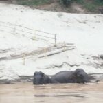 Nagi of Mekong cruise - The Benefits of the Cruise: Comfort, Culture, and Convenience