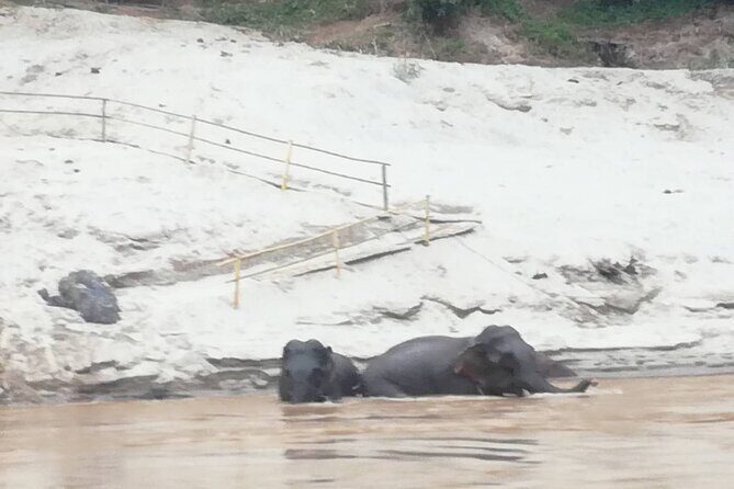 Nagi of Mekong cruise - The Benefits of the Cruise: Comfort, Culture, and Convenience