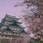 Nagoya Private Customizable Full Day Tour - Final Thoughts