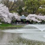 Nagoya Private Customizable Half Day Tour - A Closer Look at the Itinerary and Highlights