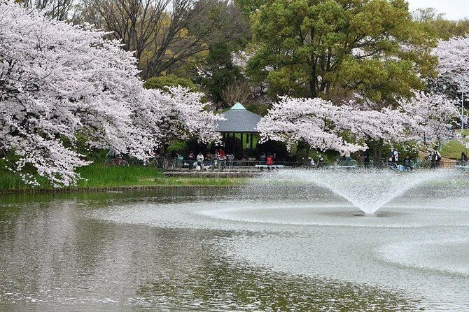 Nagoya Private Customizable Half Day Tour - A Closer Look at the Itinerary and Highlights