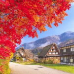 Nagoya Shirakawa go Village and Takayama One Day Tour - Practical Tips for Making the Most of This Tour