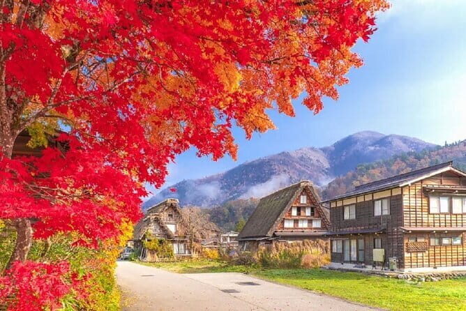 Nagoya Shirakawa go Village and Takayama One Day Tour - Practical Tips for Making the Most of This Tour
