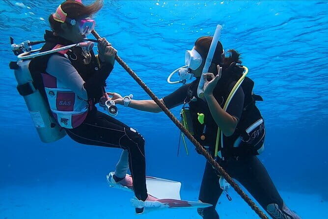 Naha Bar Hopping Tour in Okinawa - The Overall Experience & Authenticity