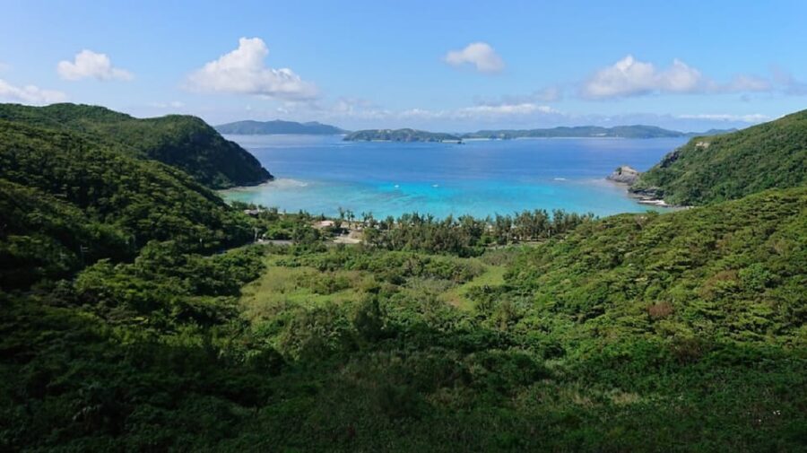 Naha: Tokashiki Day Trip & Kerama Islands Scuba Diving Trip - What Travelers Say