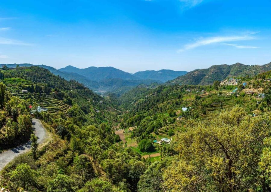 Nainital Nature Trekking Experience (4 Hours Experience) - Practical Tips for Travelers