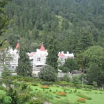 Nainital Nature Trekking Experience (4 Hours guided experience) - Why This Tour Might Be Perfect for You