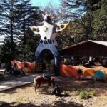 NAINITAL TOUR (2 Nights /3 Days) - Day 1: Journey and Leisure