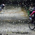 Nam Cat Tien National Park 2 Days 1 Night Tour - Who Should Consider This Tour?