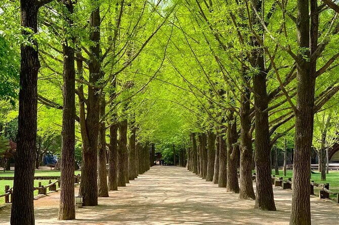 Nami Island and Petite France Private Tour - Petite France: A Whimsical Detour into European Charm