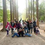 Nami Island from Seoul: Petit France and Garden of Morning Calm - Whats on the Itinerary? A Detailed Breakdown