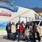 Nami Island & Nearby Attractions : Charter Van Tour With Driver - Detailed Itinerary Breakdown