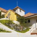 Nami Island & Petite France - The Sum Up: Is It Worth It?