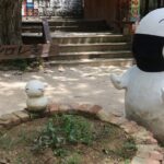 Nami Island& Petite France& Garden of Morning Calm& Italian Village One-Day Tour - Who Should Consider This Tour