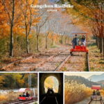 Nami Island, Railbike & Alpaca Garden Day Trip from Seoul - What to Expect in Terms of Timing and Experience