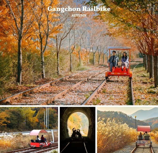 Nami Island, Railbike & Alpaca Garden Day Trip from Seoul - What to Expect in Terms of Timing and Experience