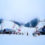 Nami Island + Ski Tour - The Skiing and Snow Activities
