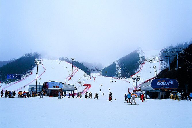 Nami Island + Ski Tour - The Skiing and Snow Activities