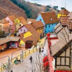 Nami Island Trip with Petite France & Italian Village and Gangchon Rail Bike - Whats Included and Whats Not?