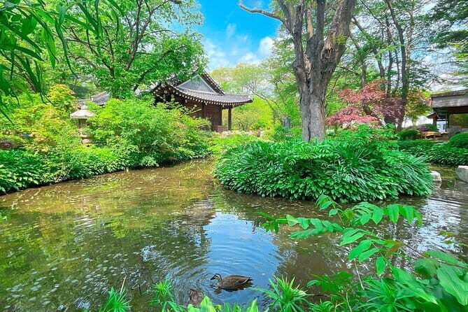 Nami & Petite France & Morning calm & Garden Light Festival - Who Will Love This Tour?