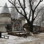 Nami+Alpaca+Garden of Morning Calm (+Rail Bike Option) - Balancing Cost and Value