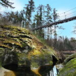 Nanaimo: Vancouver Island Waterfalls, Vistas, Hikes & Caves - Valuing the Price