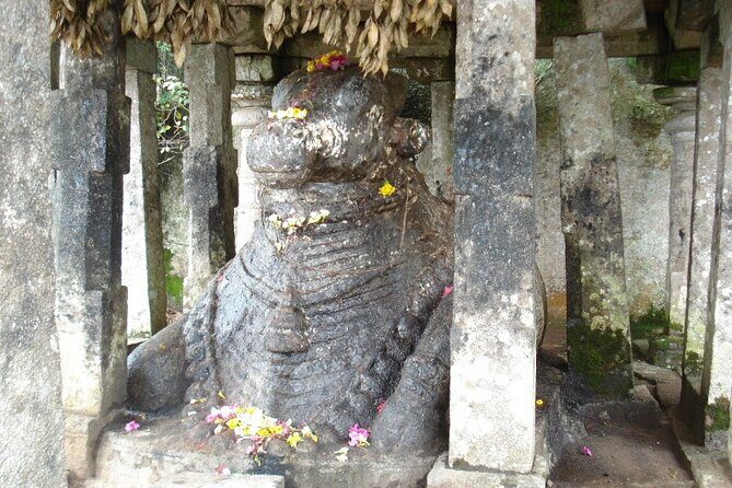 Nandi Hills Day Trip from Bangalore - What’s the Value?