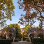 Nanjing Day Tour from Shanghai by Bullet Train - The Sum Up: Is This Tour Right for You?