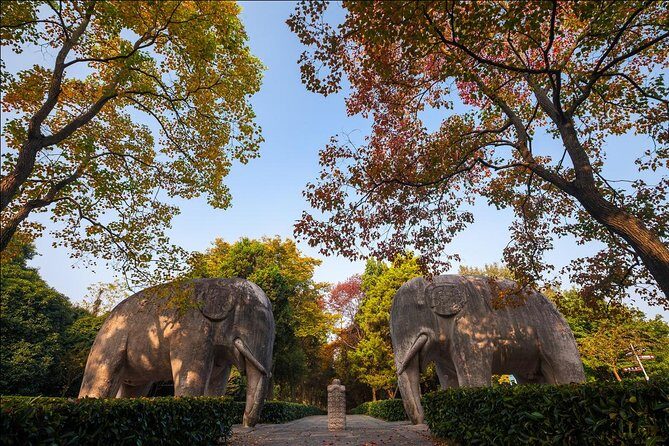 Nanjing Day Tour from Shanghai by Bullet Train - The Sum Up: Is This Tour Right for You?