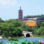 Nanjing Private Customized Day Trip from Shanghai by Bullet Train - What Travelers Say and Why It Matters