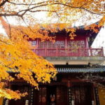 Nanjing Private Day Trip from Suzhou by Bullet Train with Drop off Options - A Full Breakdown of the Experience