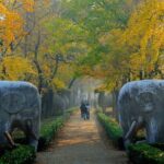 Nanjing Private English Tour Guide Service - Why This Tour Offers Great Value
