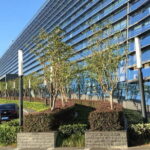 NANJING Train Station Transport / rental car - Vehicle Comfort and Amenities